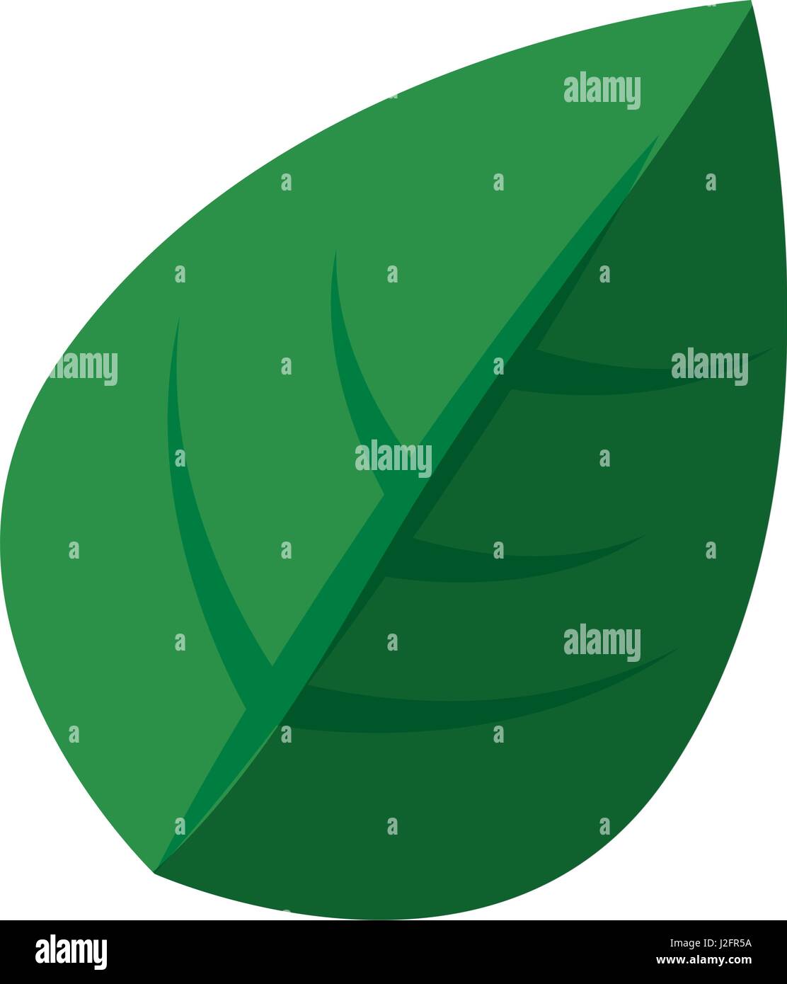 leaf icon image Stock Vector Image & Art - Alamy