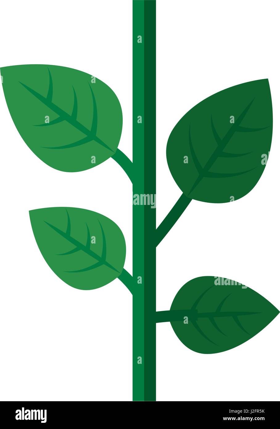 steam with leaves icon Stock Vector Image & Art - Alamy