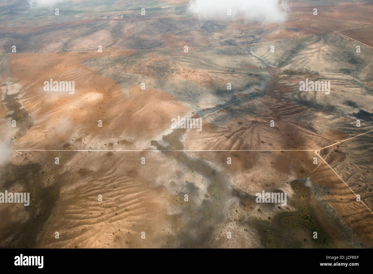Savanna Rupununi, Guyana Stock Photo - Alamy