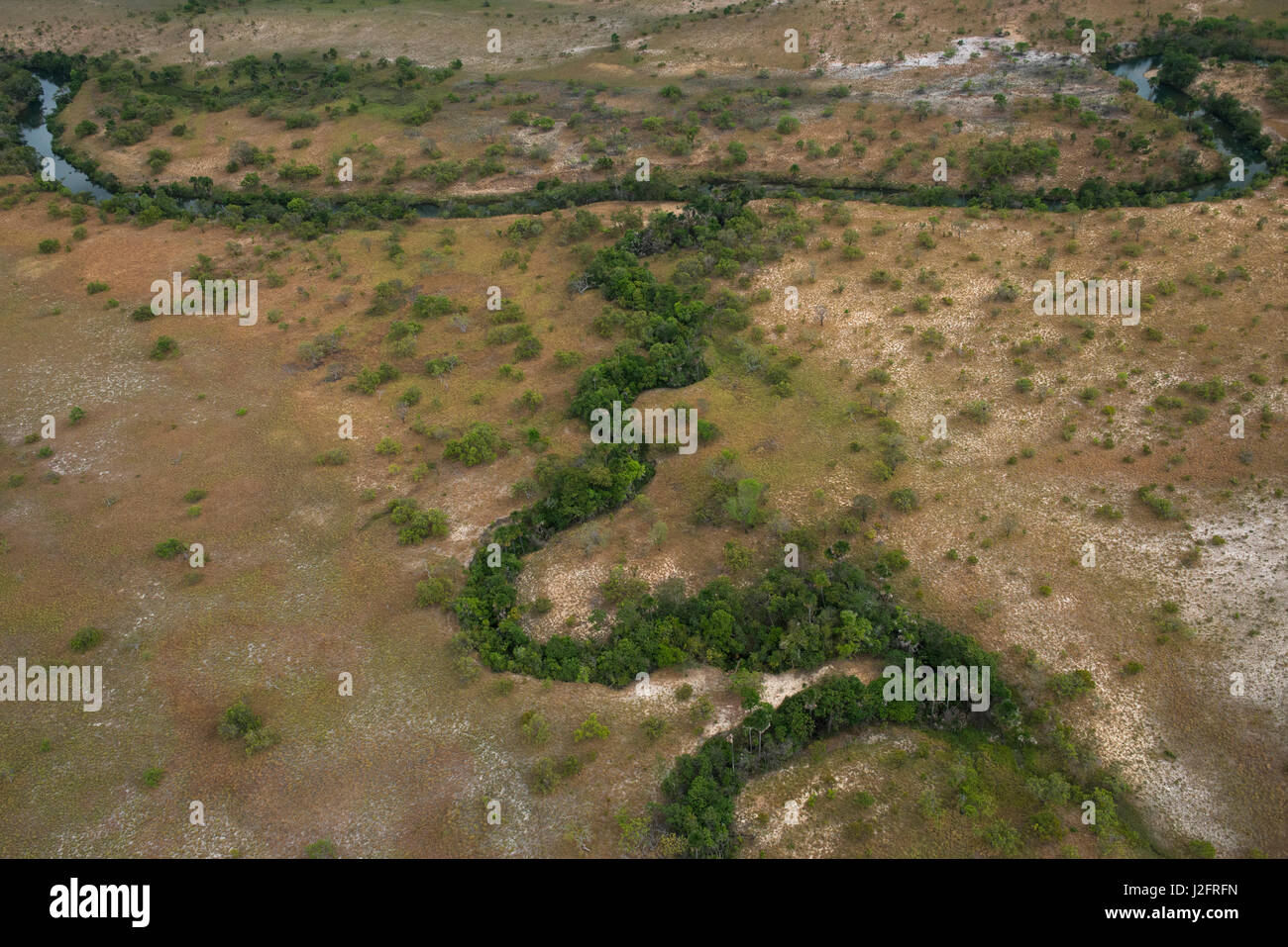 Rupununi savanna hi-res stock photography and images - Alamy