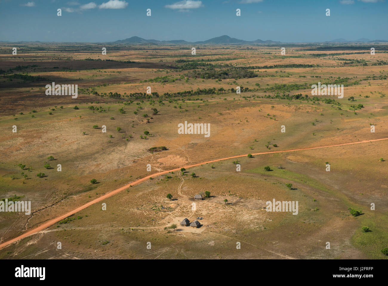 Savanna Rupununi, Guyana Stock Photo - Alamy