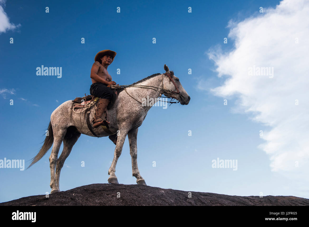 Amerindian Cowboy. Savanna Rupununi, Guyana Stock Photo - Alamy