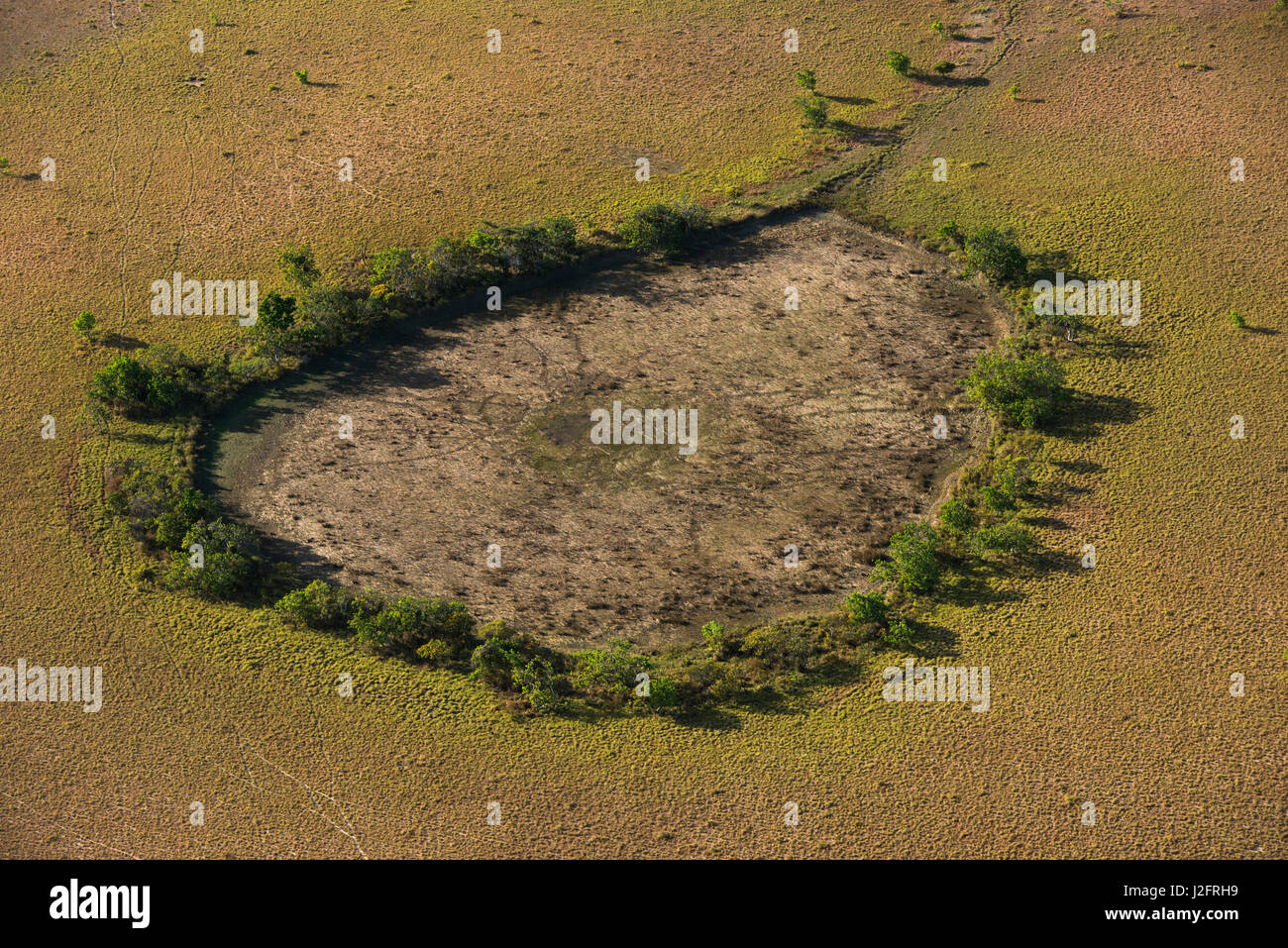 Rupununi savanna hi-res stock photography and images - Alamy
