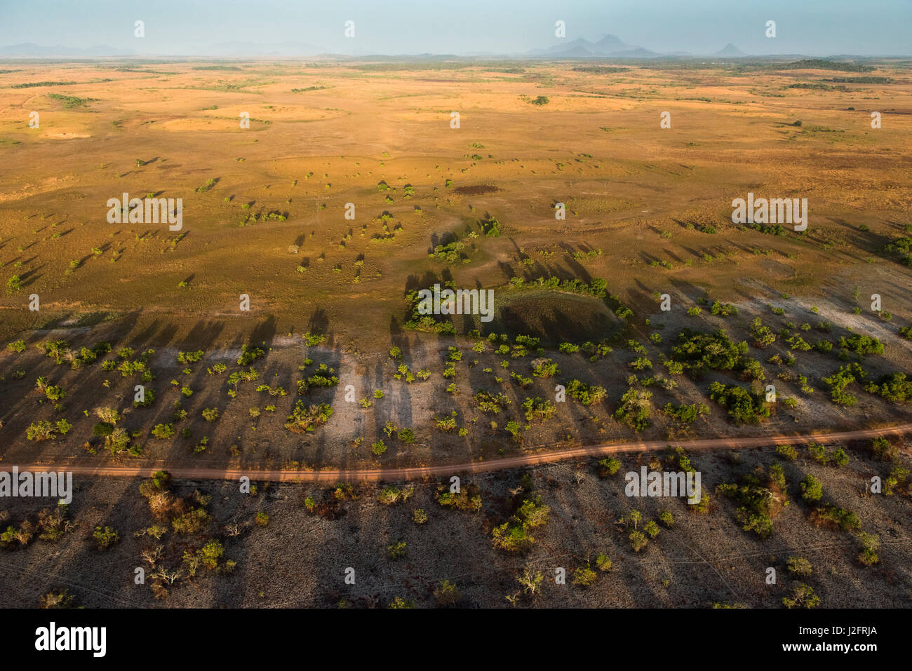 Rupununi savanna hi-res stock photography and images - Alamy