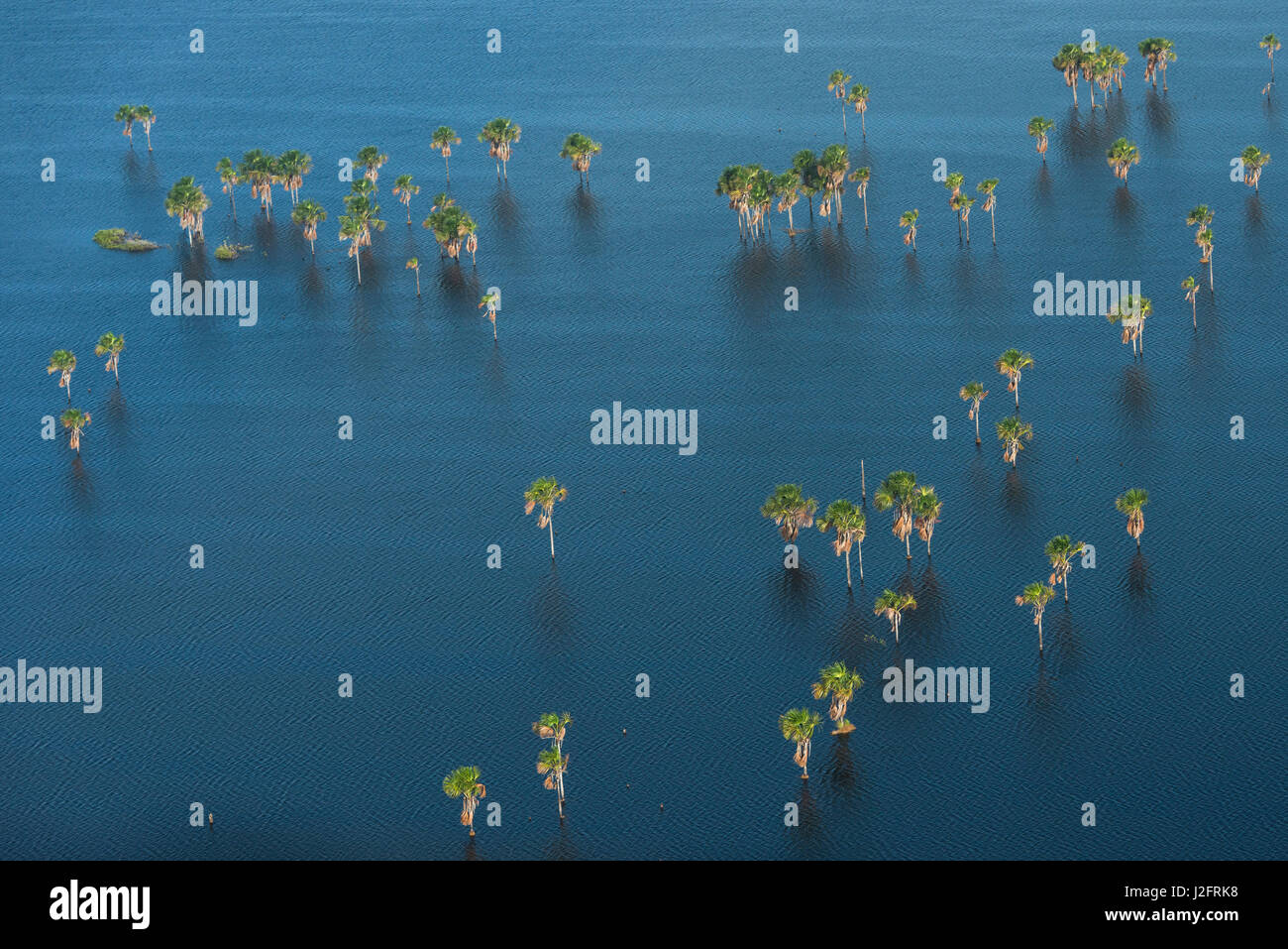 Capoey Lake. North West Guyana Stock Photo - Alamy