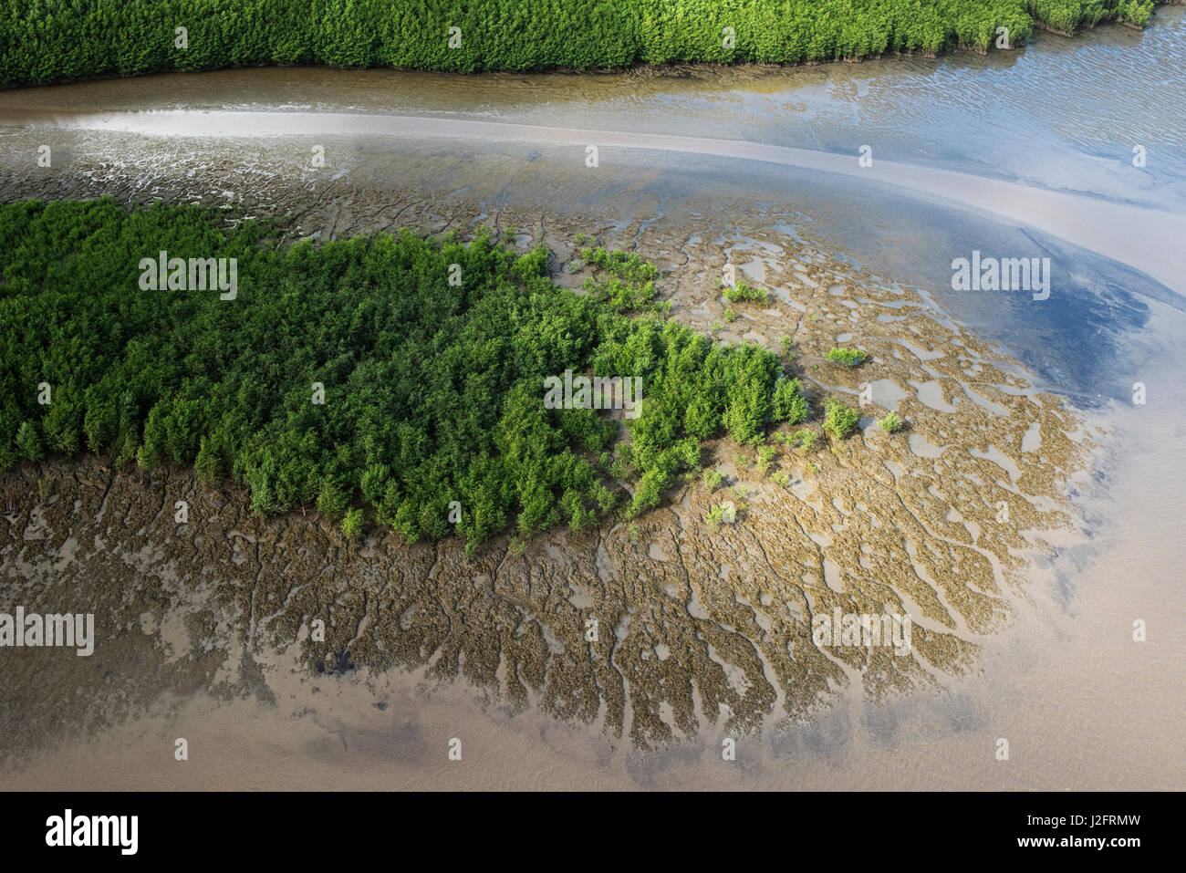 Shell Beach, North Guyana Stock Photo - Alamy