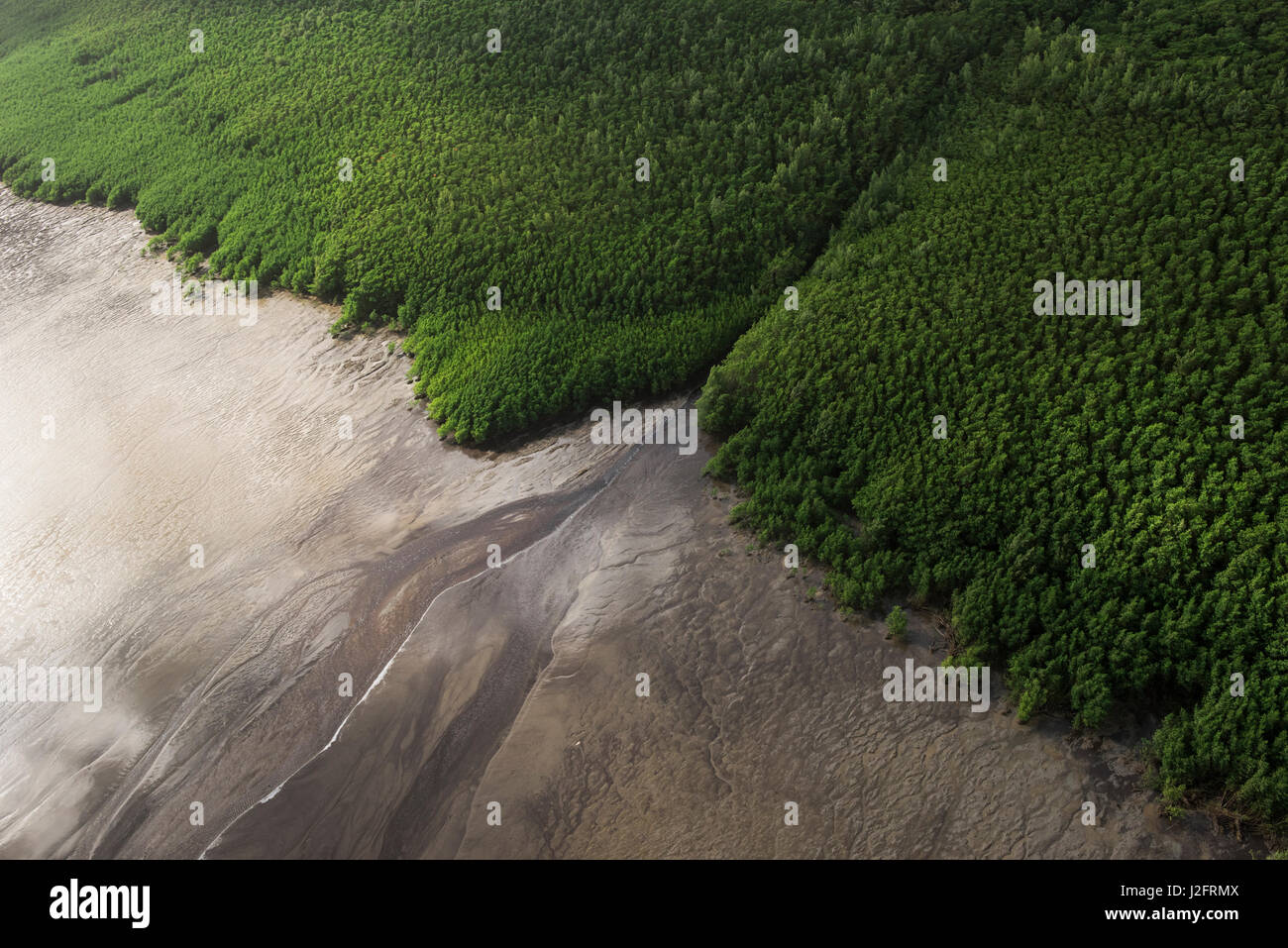 Shell Beach, North Guyana Stock Photo - Alamy