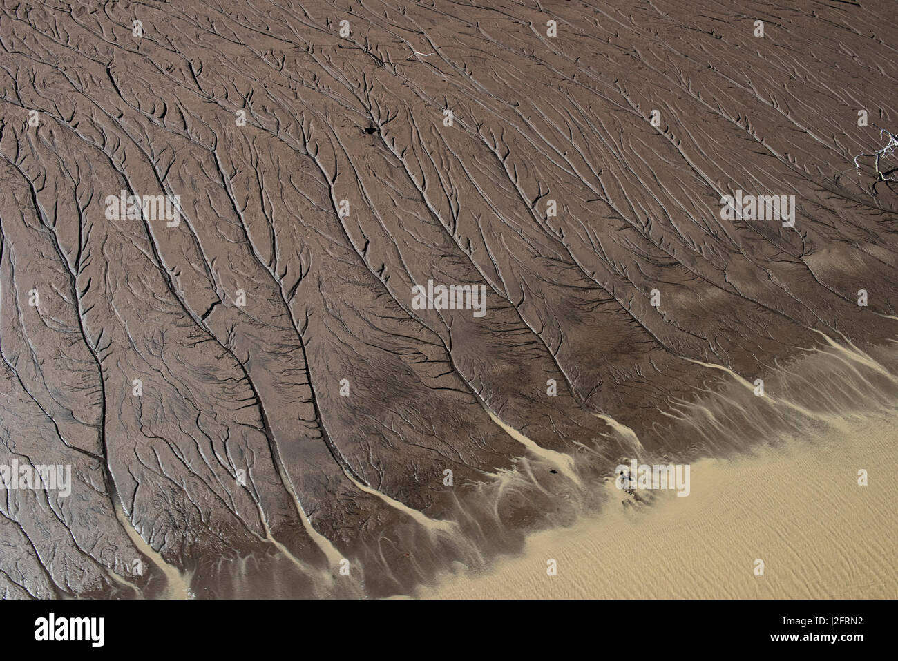 Shell Beach, North Guyana Stock Photo - Alamy