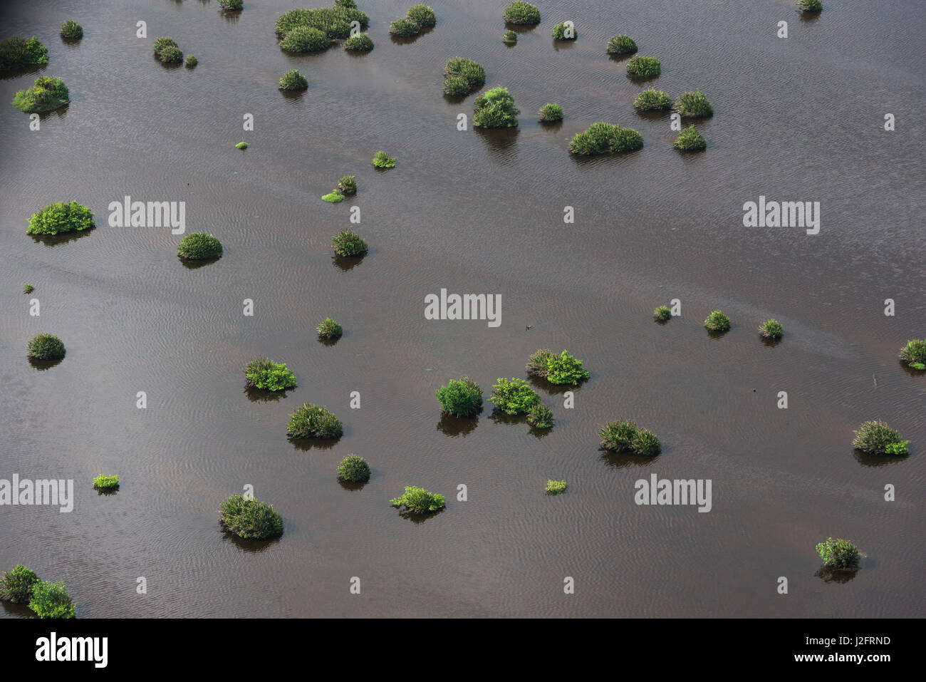 Shell Beach, Guyana High Resolution Stock Photography and Images - Alamy