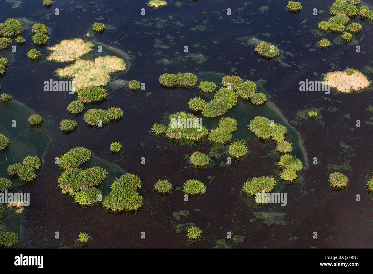 Wetland Shell Beach, North Guyana Stock Photo - Alamy
