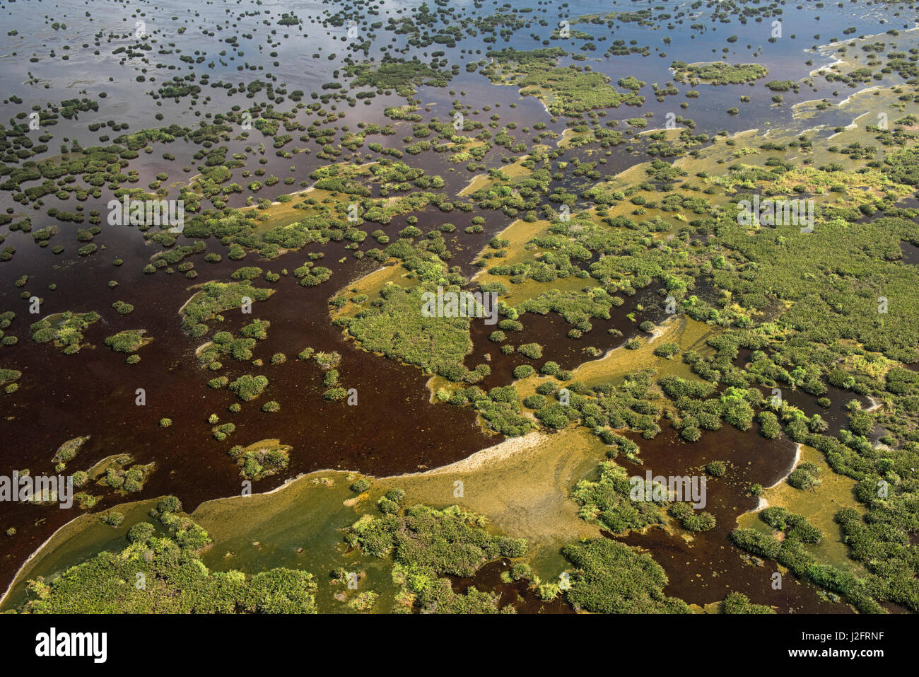 Wetland Shell Beach, North Guyana Stock Photo - Alamy