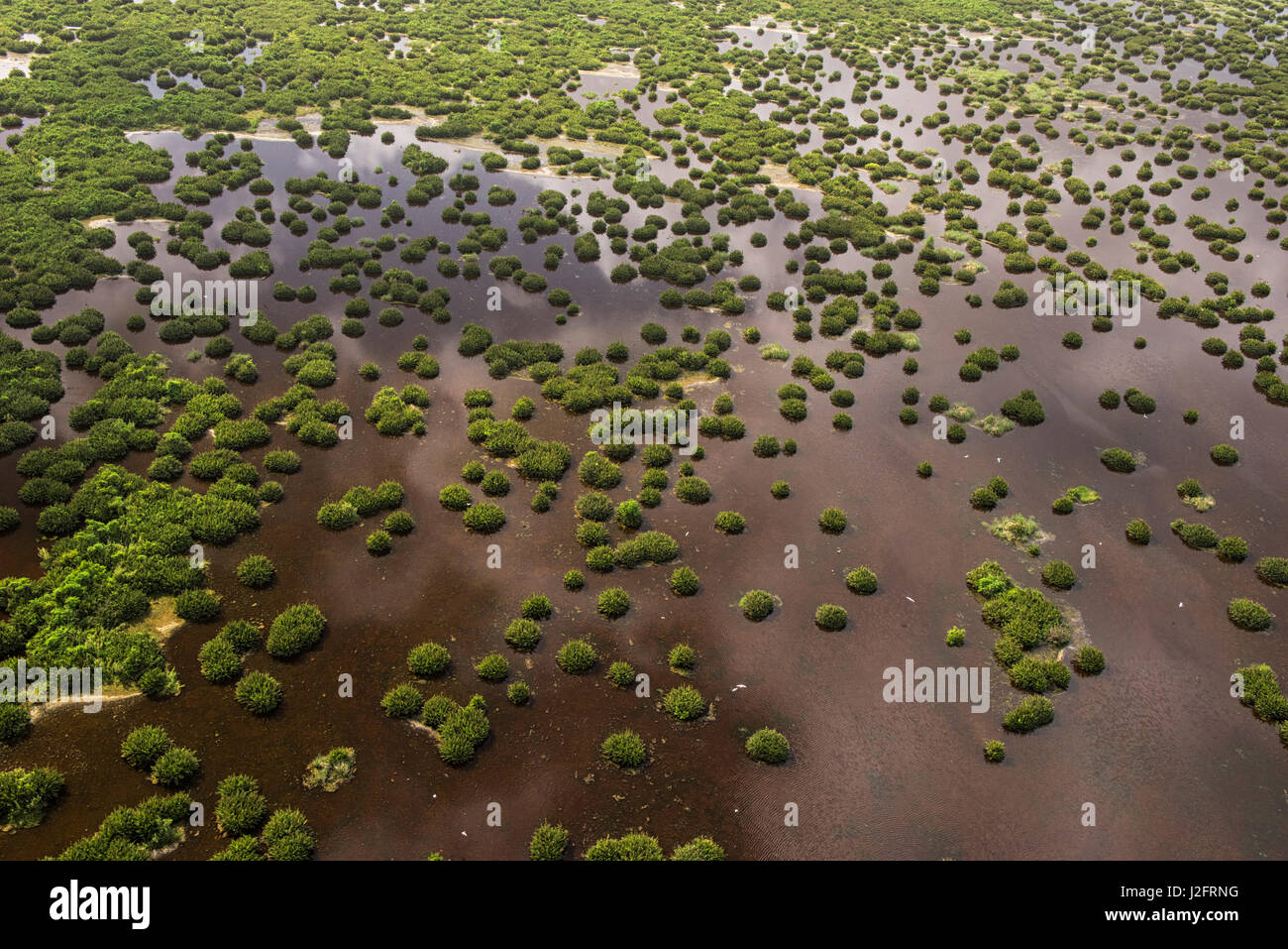 Wetland Shell Beach, North Guyana Stock Photo - Alamy