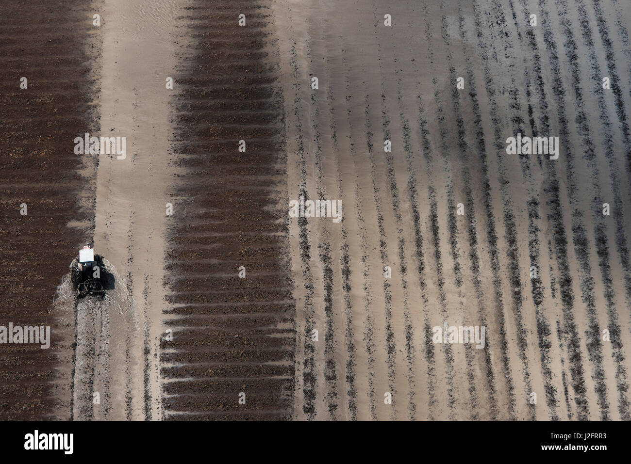 Tractor. Rice production. Coastal area, Guyana Stock Photo - Alamy