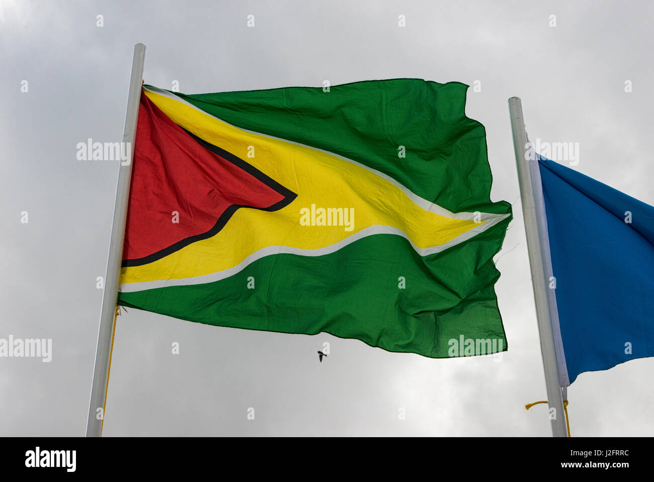 Guyana flag hi-res stock photography and images - Alamy