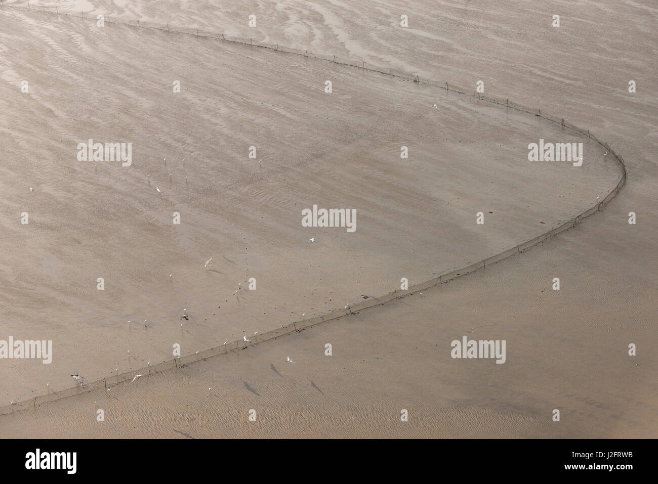 Fishing. East Coast, Atlantic Ocean, Guyana Stock Photo - Alamy