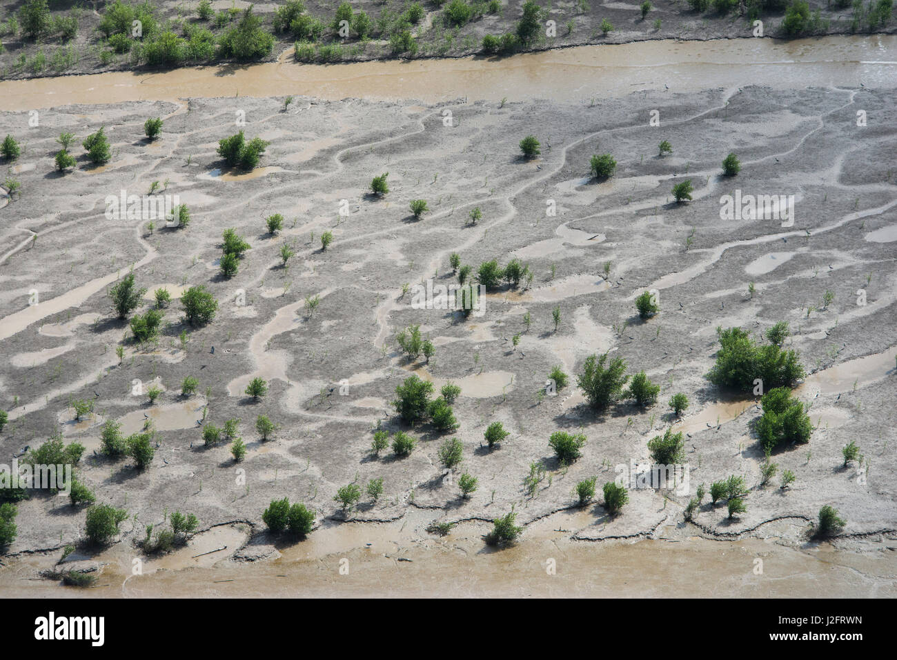 Mud patterns on beach. East Guyana Stock Photo - Alamy