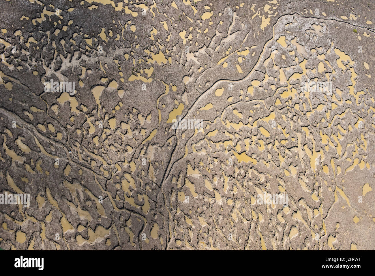 Mud patterns on beach. East Guyana Stock Photo - Alamy