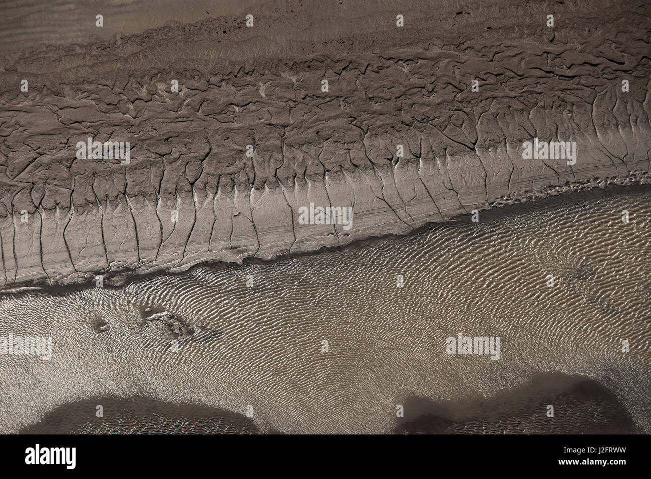Mud patterns on beach, Guyana Stock Photo - Alamy