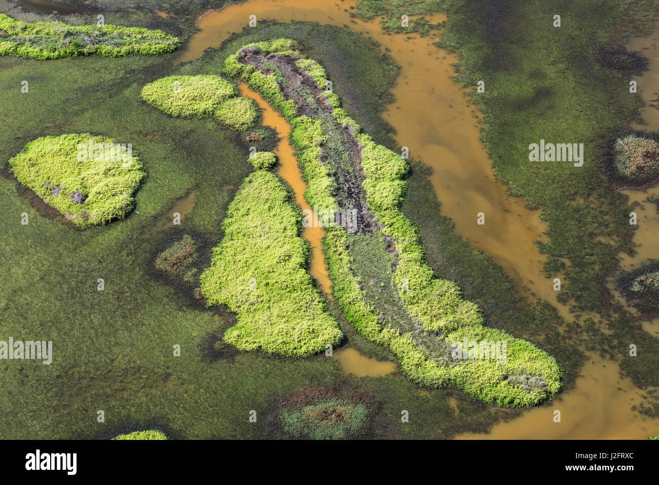 East guyana hi-res stock photography and images - Alamy