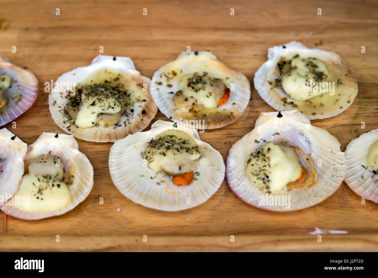 Close up shell hi-res stock photography and images - Alamy