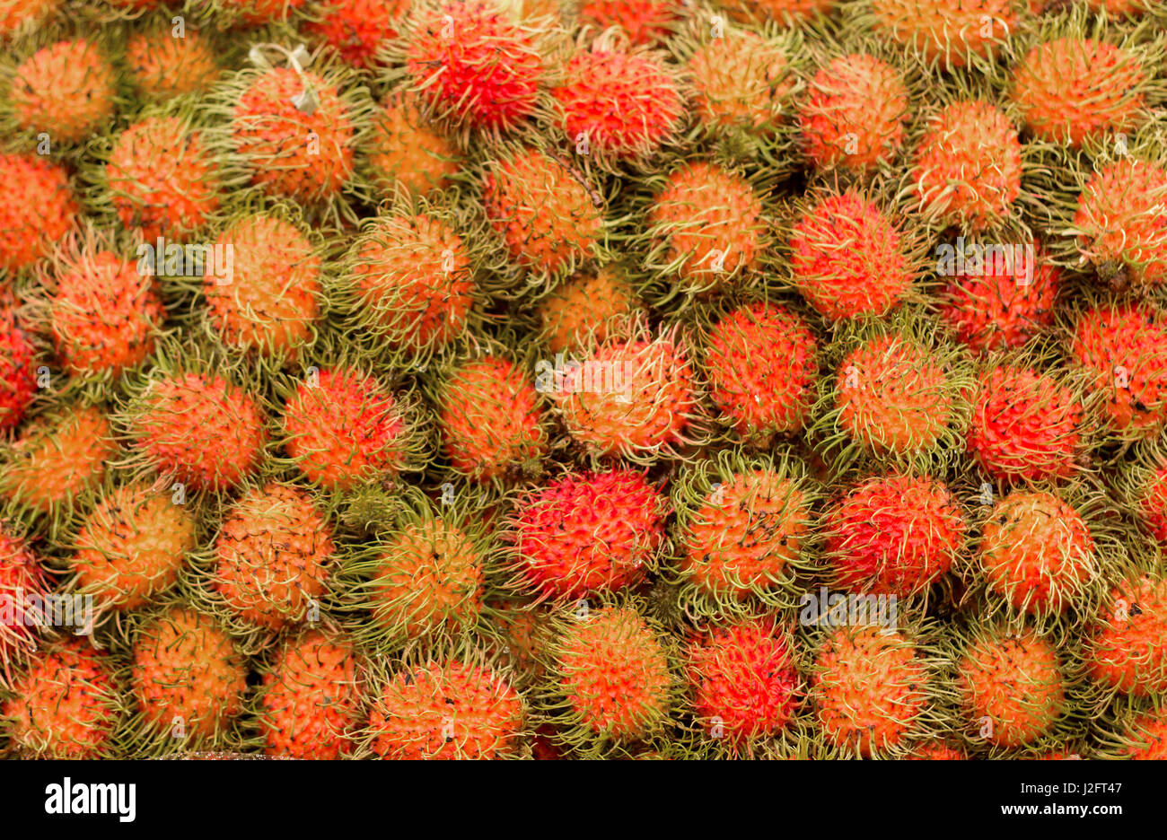 close up fresh rambutan for background Stock Photo - Alamy