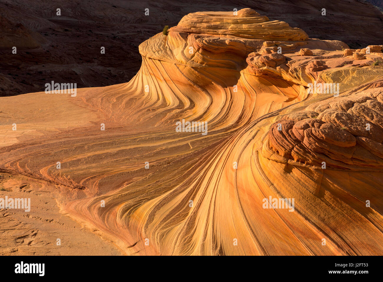 The Second Wave in the Vermillion Cliffs Wilderness, Arizona, USA Stock ...
