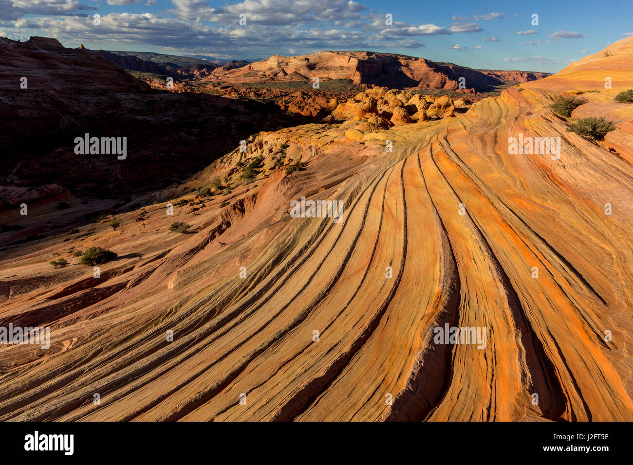 The Second Wave in the Vermillion Cliffs Wilderness, Arizona, USA Stock ...