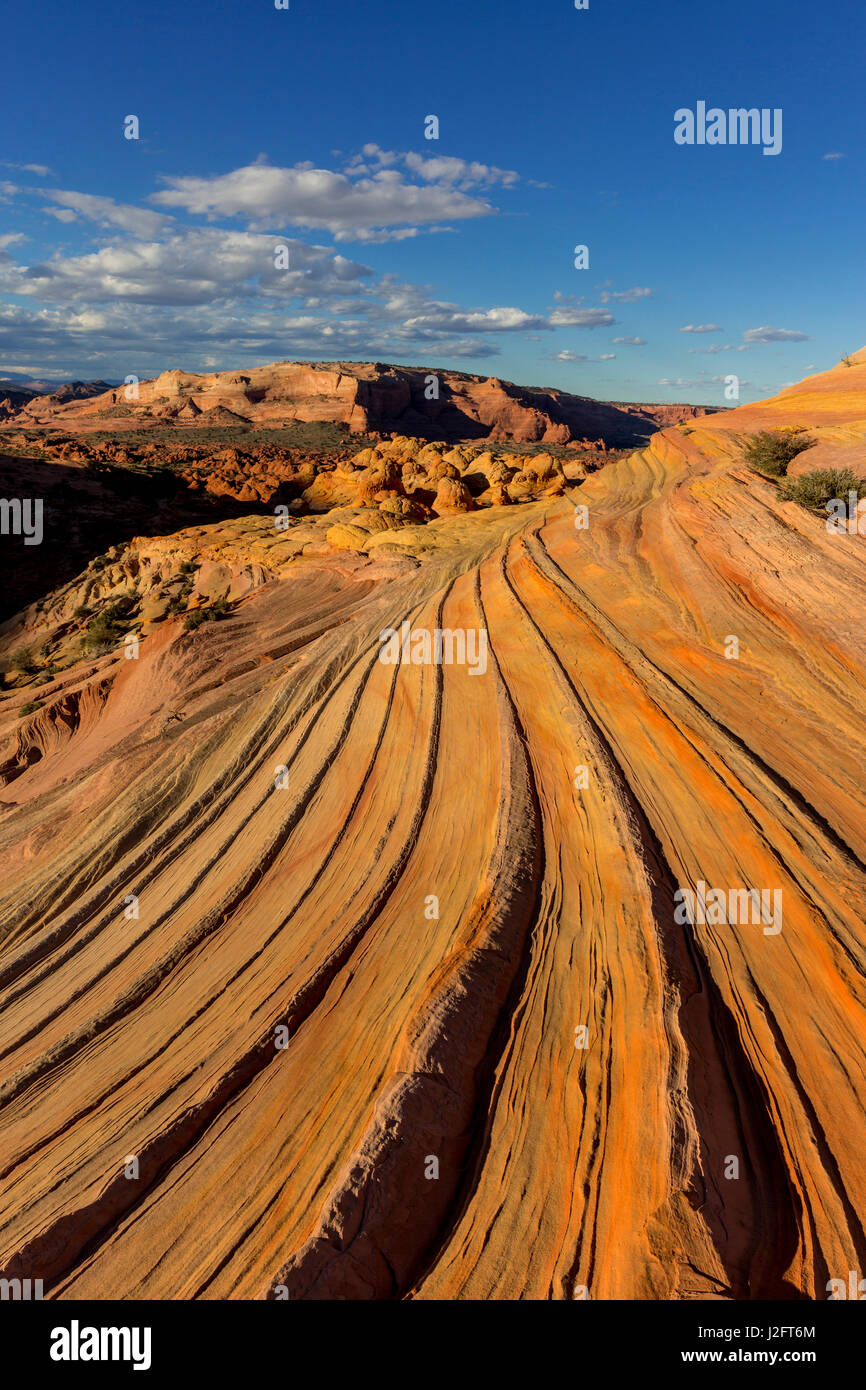 The Second Wave in the Vermillion Cliffs Wilderness, Arizona, USA Stock ...