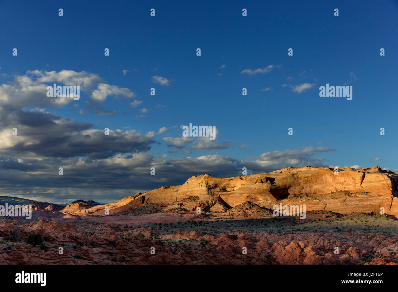 West Clark Bench in the Vermillion Cliffs Wilderness, Arizona, USA ...