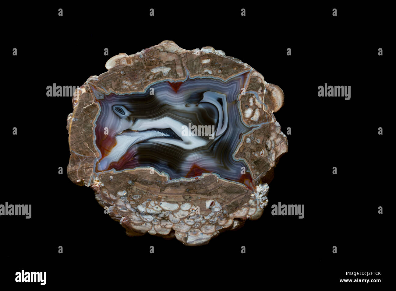 Baker Egg Agate, New Mexico Stock Photo - Alamy