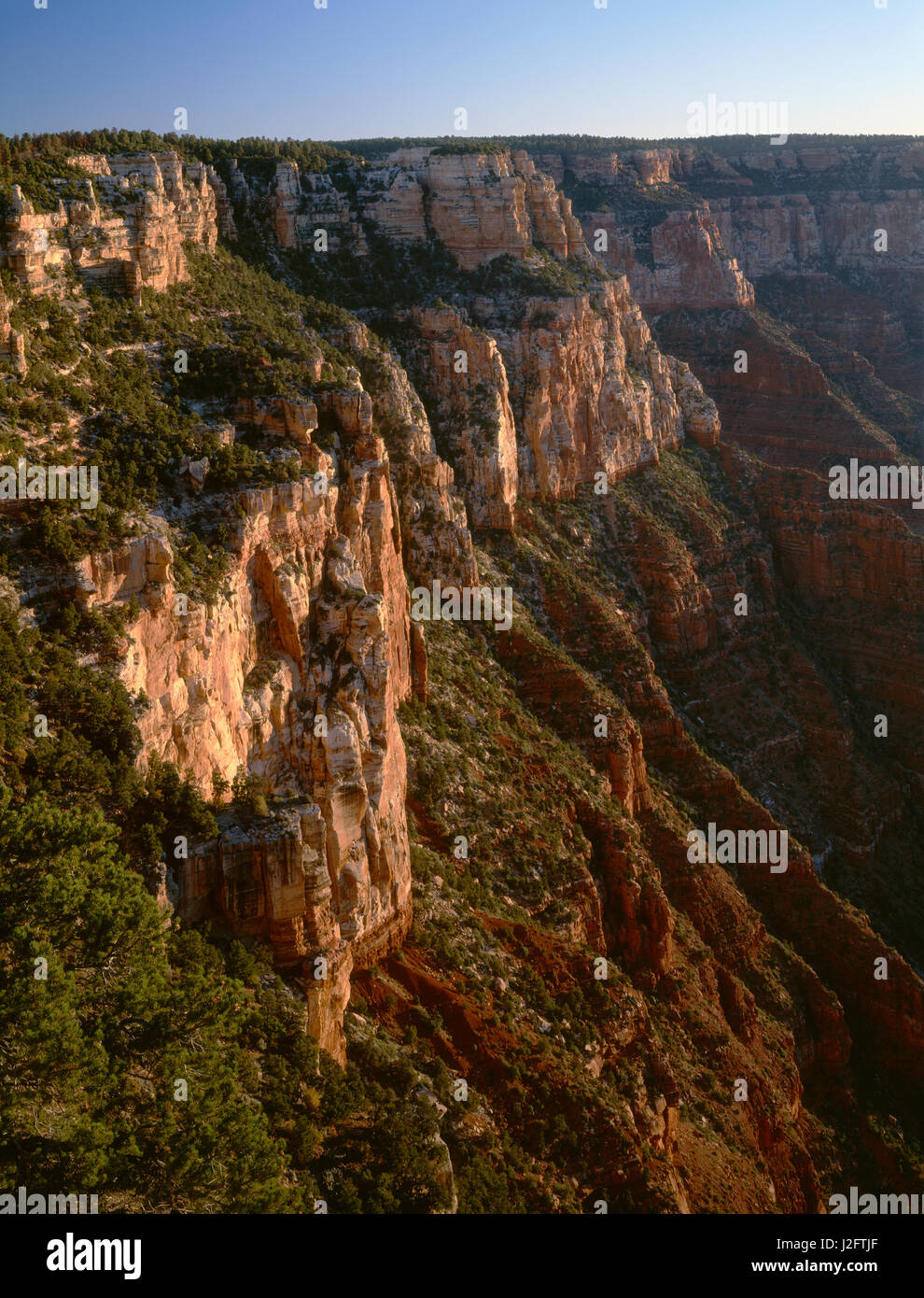 USA, Arizona, Grand Canyon National Park, North Rim, Eroded face of ...
