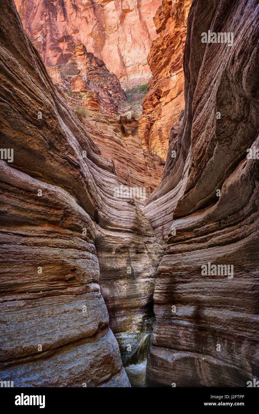 USA, Arizona, Grand Canyon, Colorado River Float Trip Matkatameba Stock ...