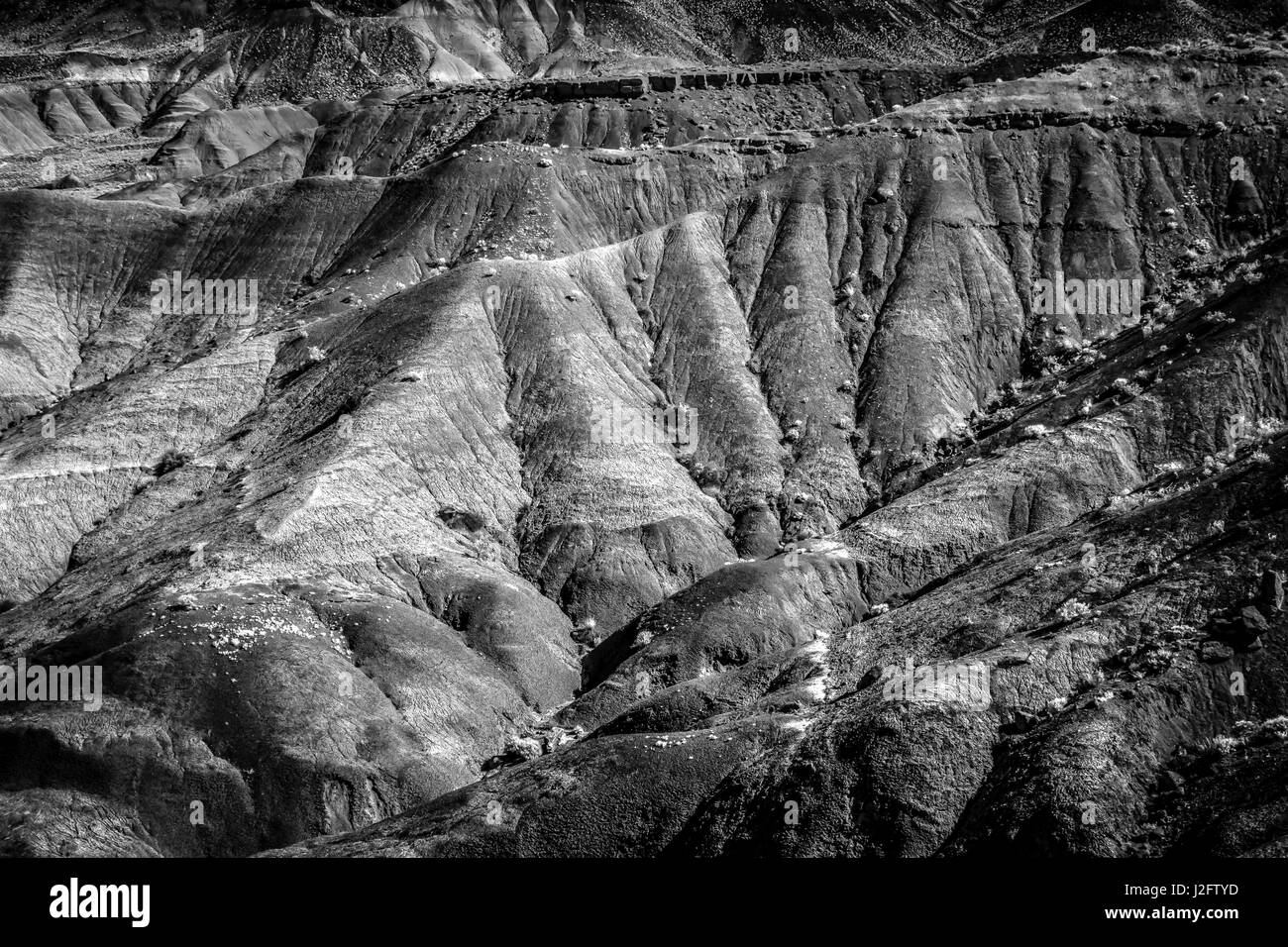 Painted Desert from Lacey Point, Petrified Forest National Park ...