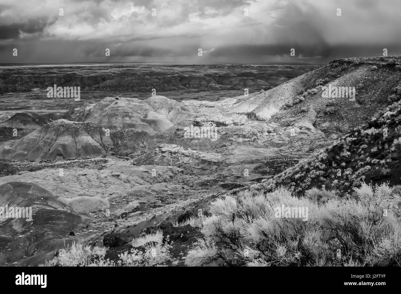 Painted Desert from Lacey Point, Petrified Forest National Park ...