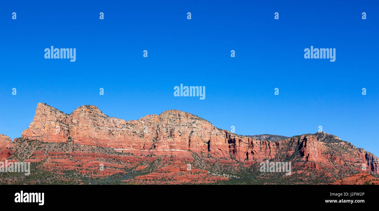 Lee bell hi-res stock photography and images - Alamy