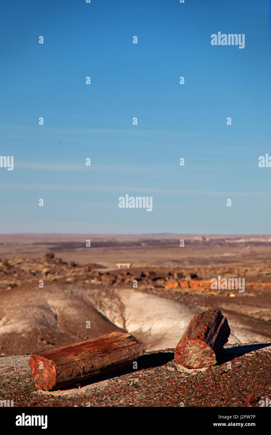 USA, Arizona, Petrified Forest National Park. Crystal Forest Stock ...