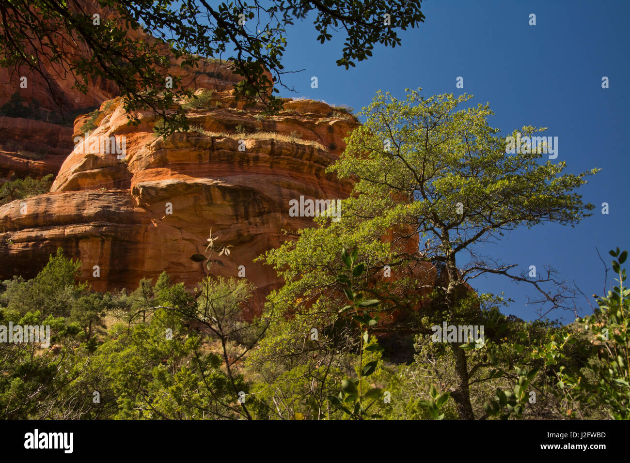 Red rock secret mountain wilderness, hi-res stock photography and ...
