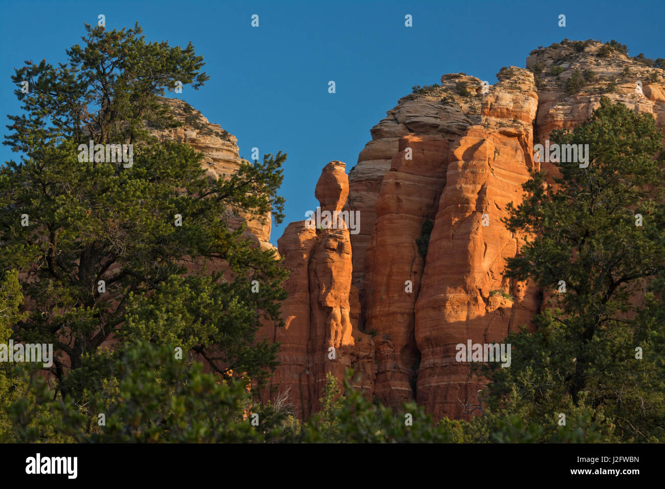 red rock, Bell Rock Pathway, Coconino National Forest, Sedona, Arizona ...