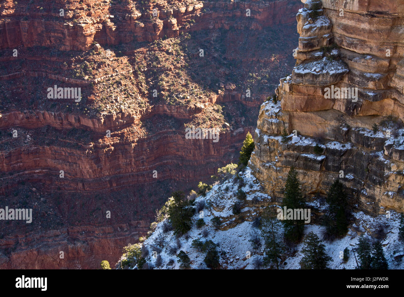Mather Point, South Rim, Grand Canyon National Park, USA, National Park ...