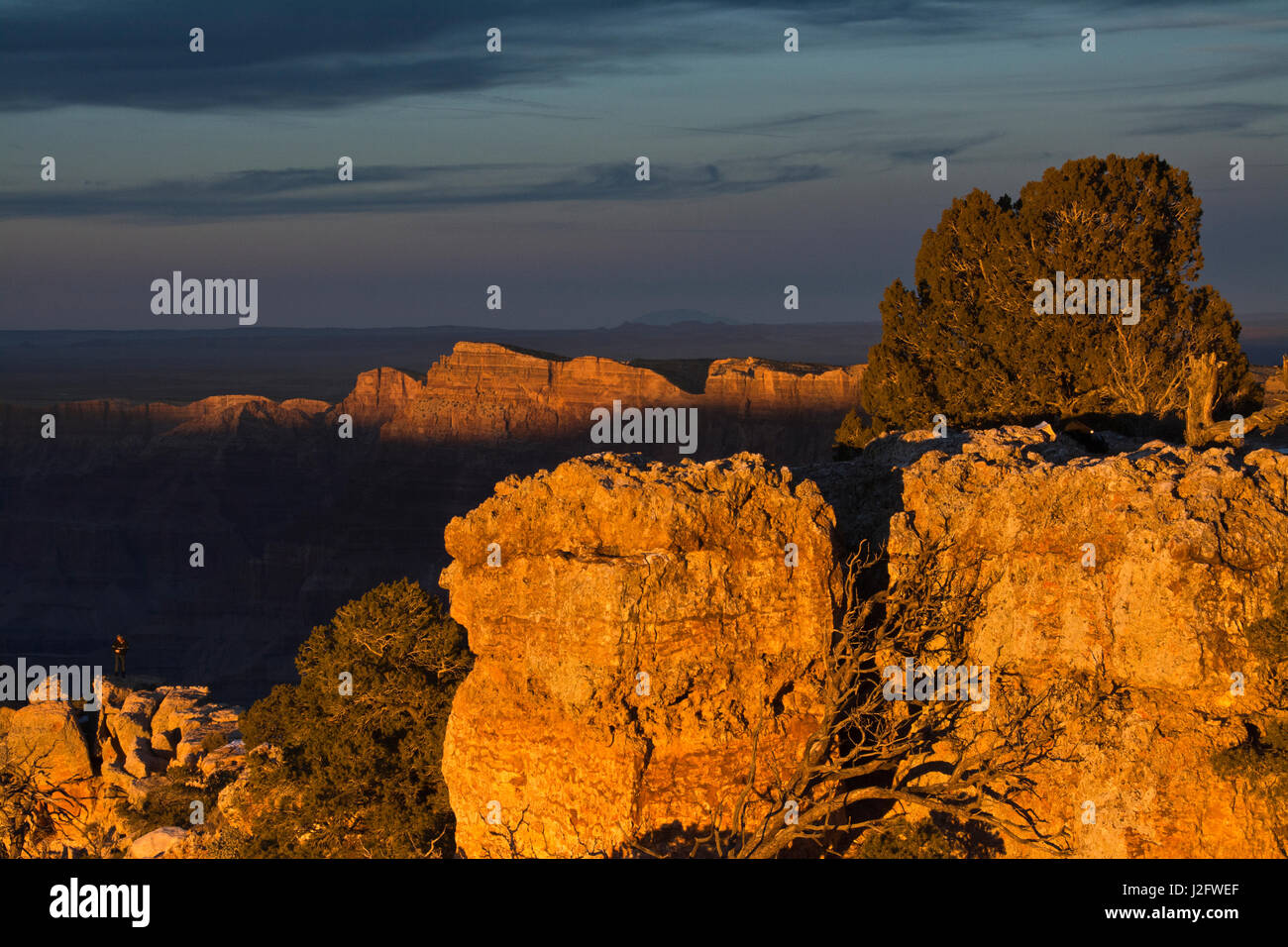 Hiker, at sunset, Lipan Point, South Rim, Grand Canyon National Park ...
