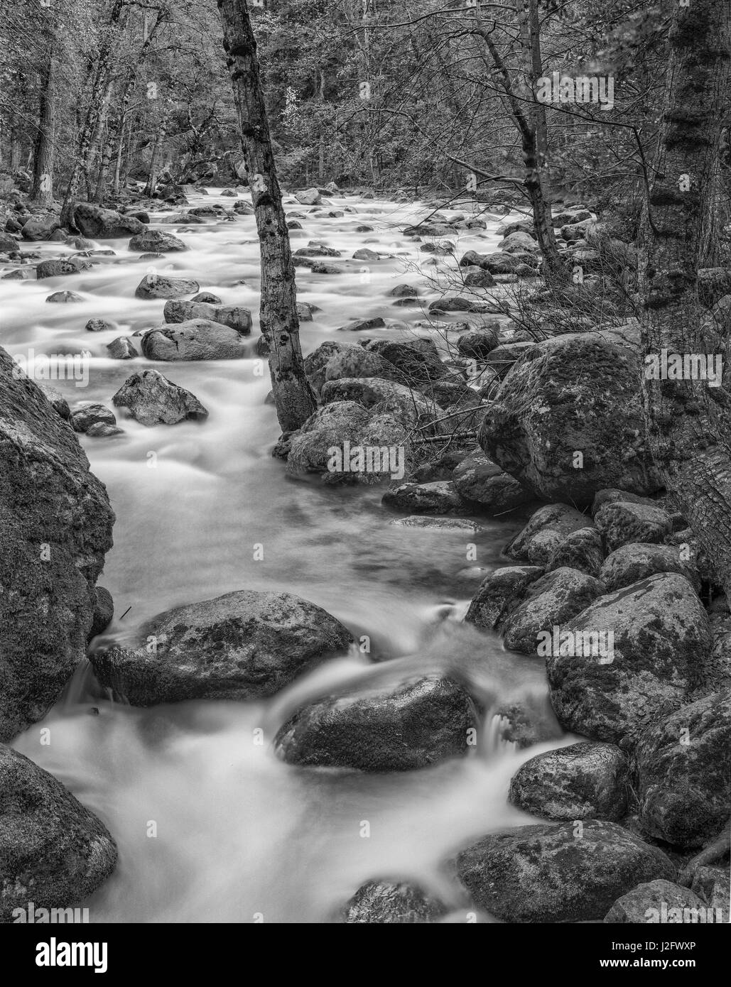 Yosemite national park spring Black and White Stock Photos & Images - Alamy
