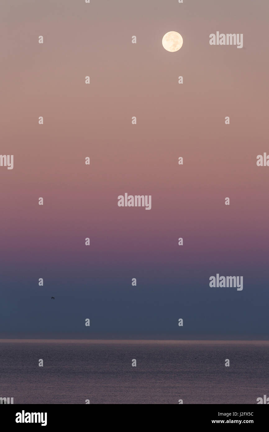 Moonset over pacific ocean hi-res stock photography and images - Alamy