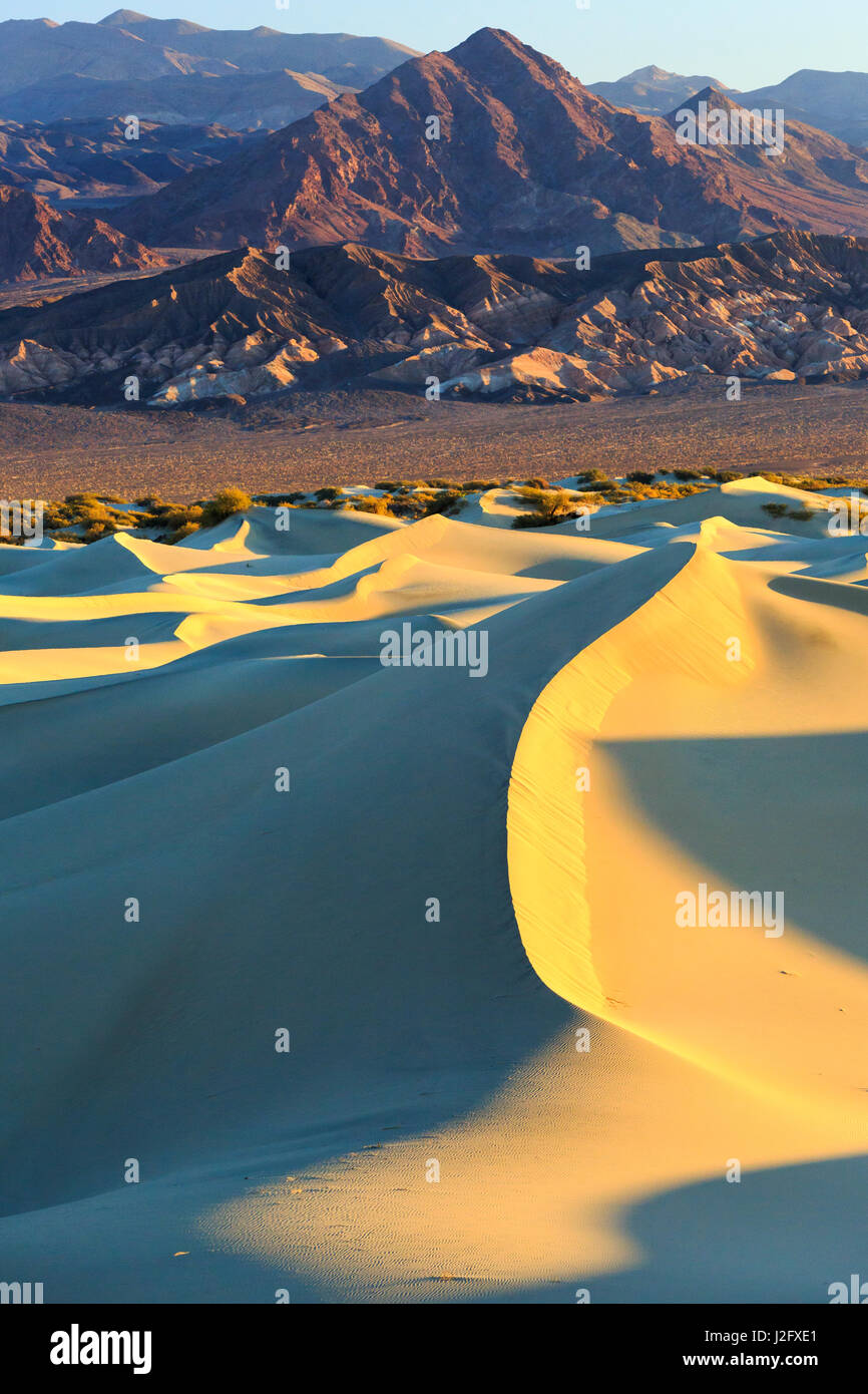 Sunrise highlights the texture along the ridgeline of a sand dune in ...