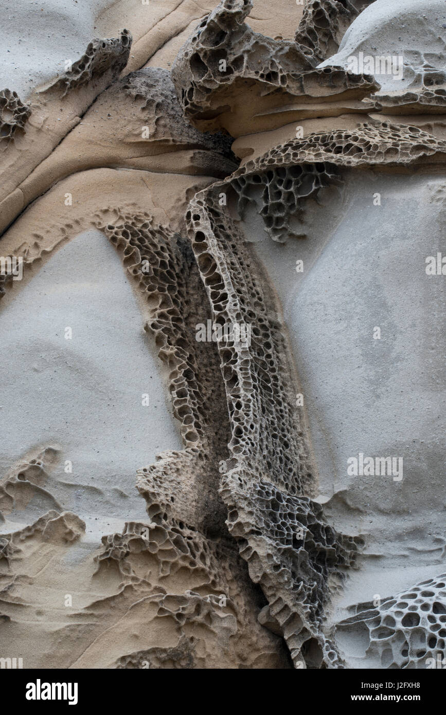 Tafoni formation, salt point state park hi-res stock photography and ...