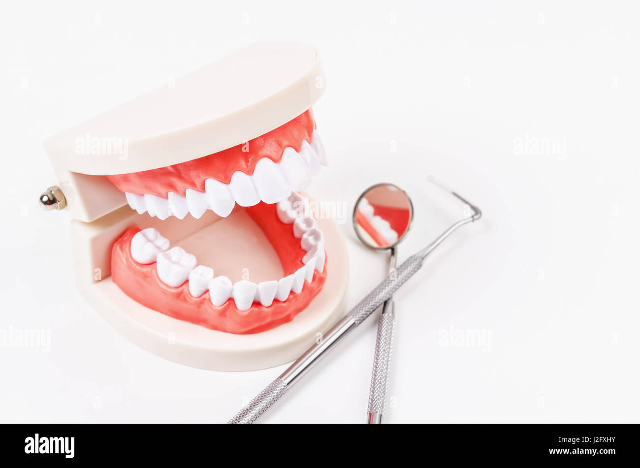 White teeth model and dental instruments on white background. Dental ...