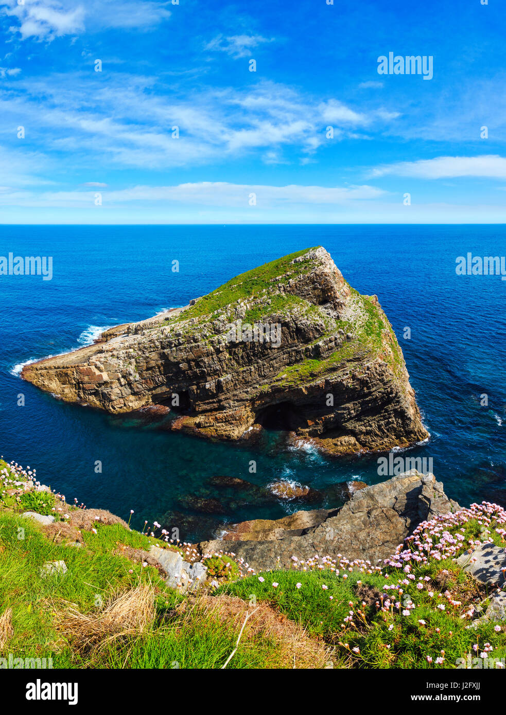 Summer blossoming Cape Vidio coast view with flowers (Asturias ...