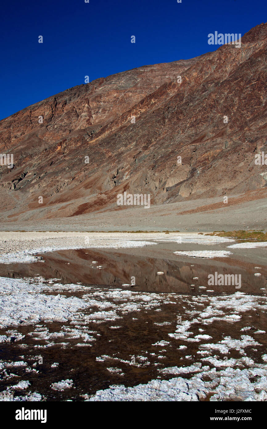 USA, California, Death Valley. Spring-fed pool at Badwater Basin, the ...