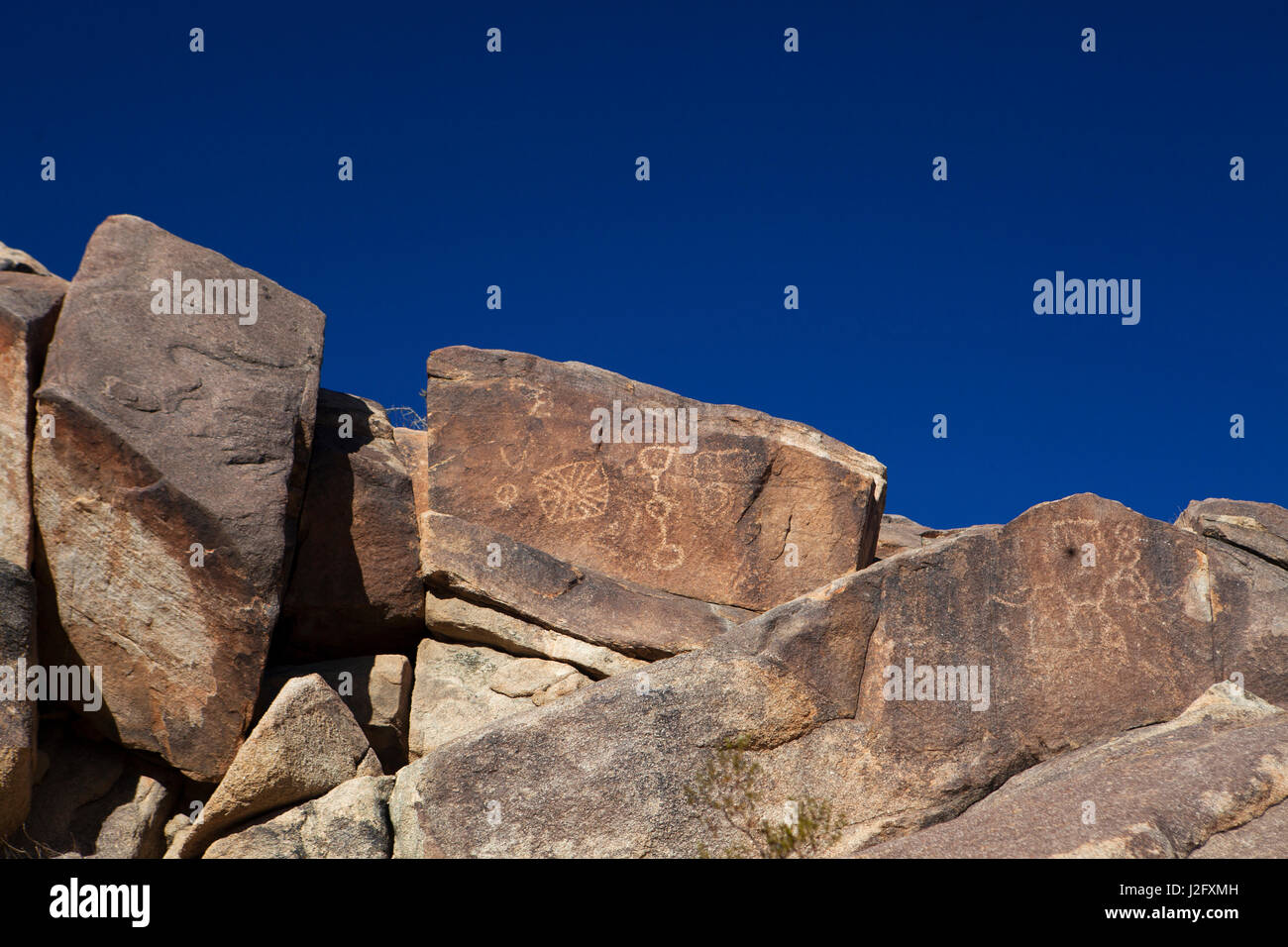 Joshua tree coyote hole hi-res stock photography and images - Alamy