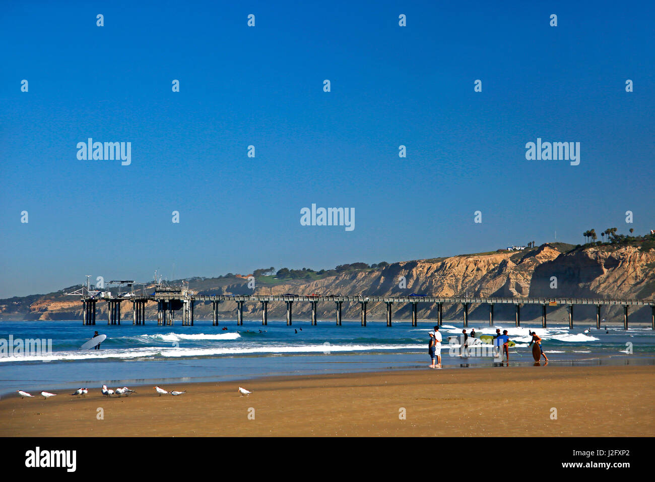 USA, California, La Jolla. La Jolla Shores Beach and Scripps Pier Stock ...