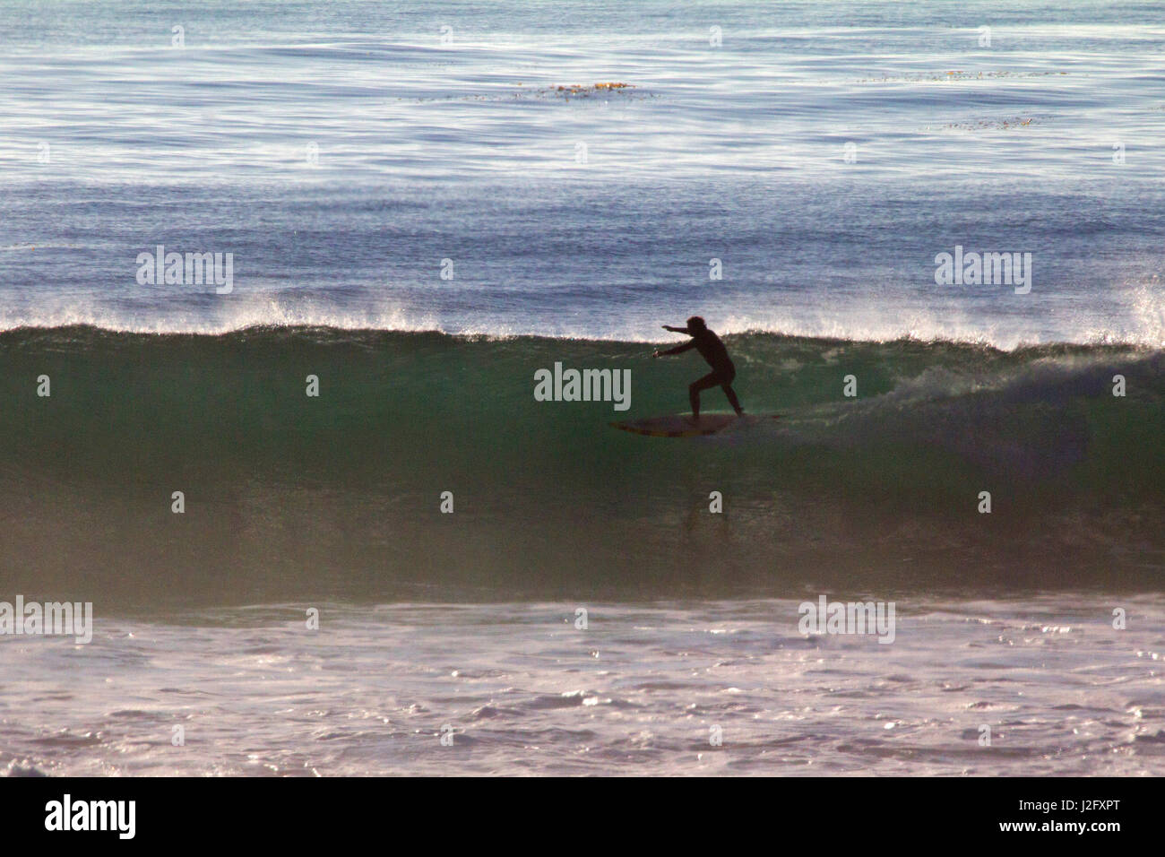 San diego surfer cutting wave hi-res stock photography and images - Alamy